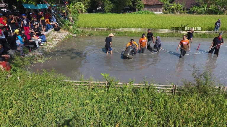 Desa Wisata Tembi: Rute, Harga Tiket Masuk, Fasilitas, Paket Dll