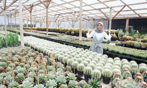 35 Tempat Wisata di Cimahi Terbaru & TerHits yg Wajib Dikunjungi!