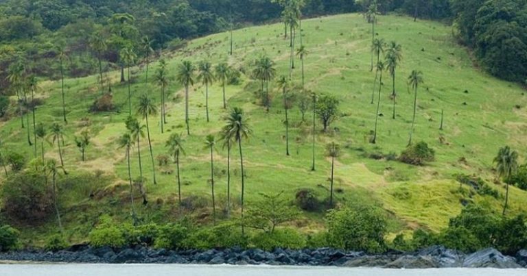 49 Tempat Wisata di Kayong Utara Paling Hits, Wajib Dikunjungi!