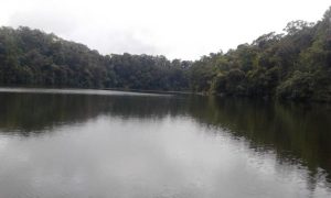 20 Tempat Wisata di Tapanuli Selatan TerHits & Wajib Dikunjungi