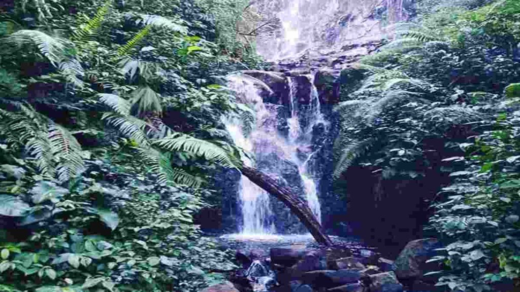 29 Curug di Tasikmalaya Terhits & Terbaik, Air Terjun Paling Keren!