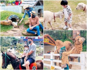 32 Tempat Wisata Keluarga & Anak di Bogor Paling Seru & Hits!